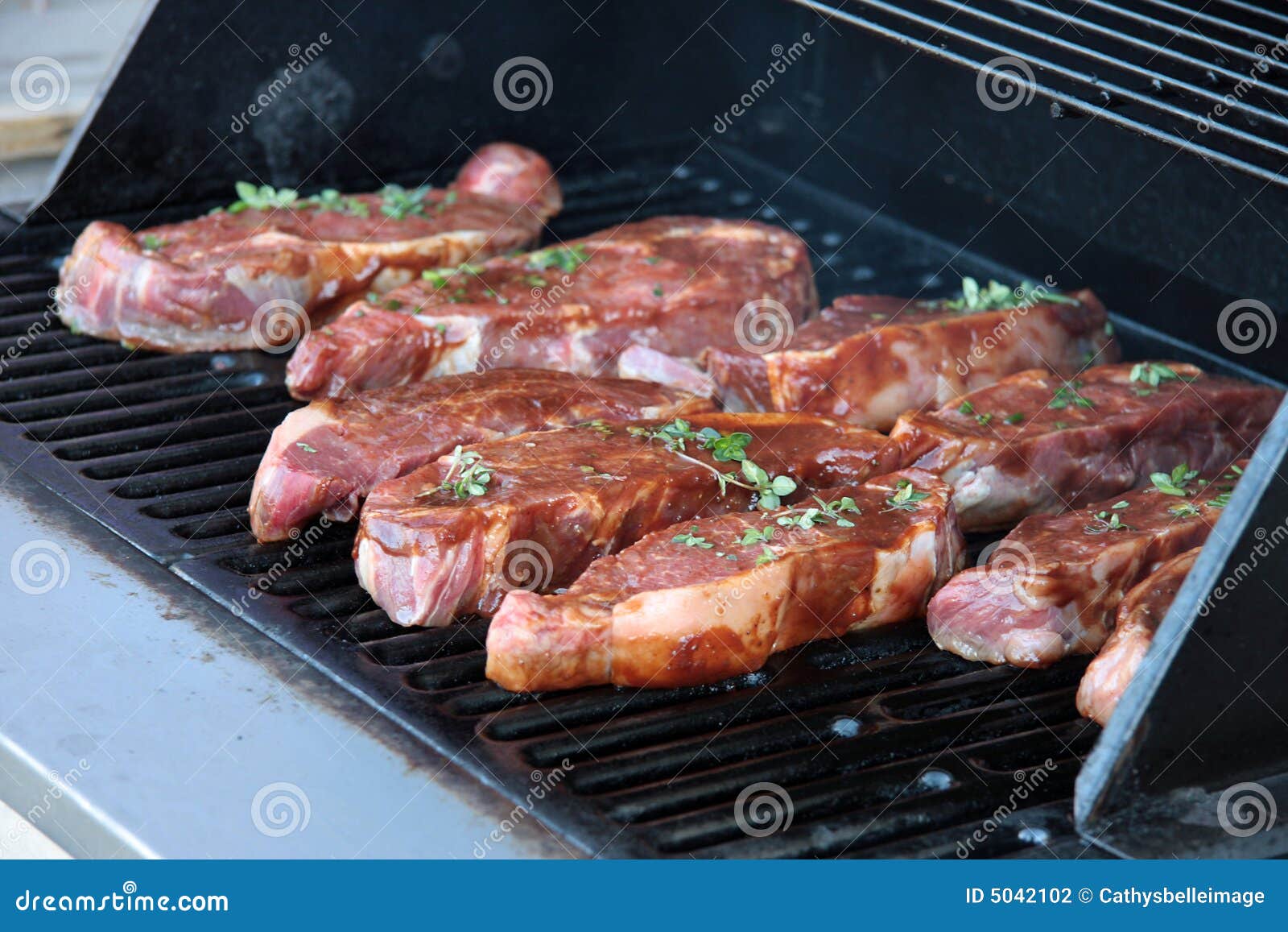 BBQ meat stock photo. Image of outdoor, meat, summer, herbs - 5042102