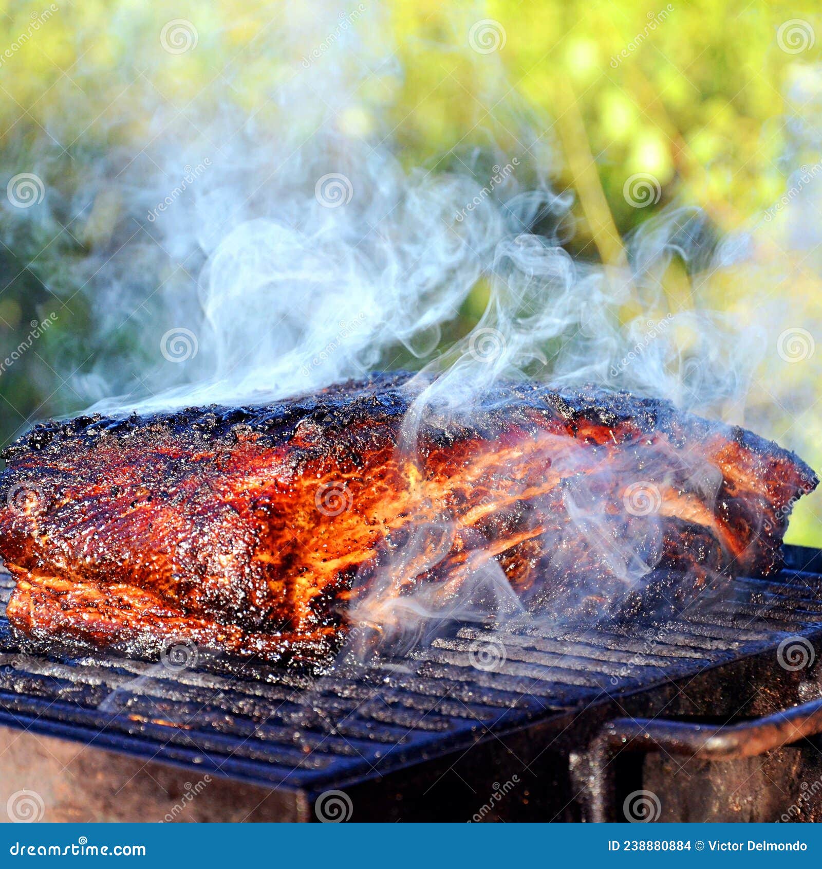 Bbq meat over an open fire stock photo. Image of autumn - 238880884