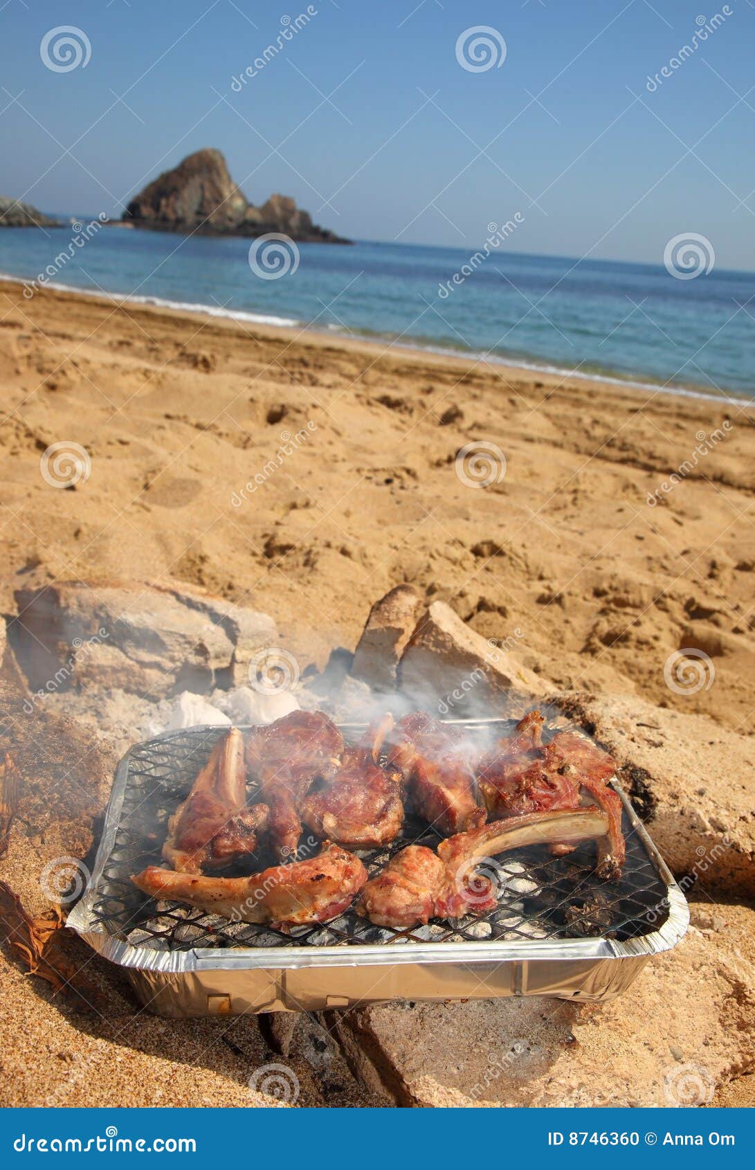 BBQ Ribben op het strand stock foto. Image of smog, maaltijd - 8746360