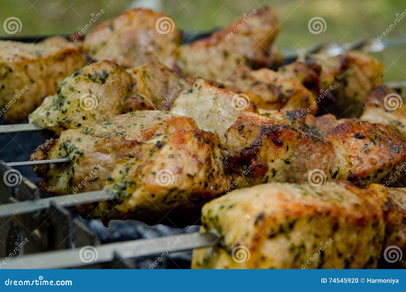 BBQ sticks stock photo. Image of party, menu, easy, barbeque - 74545920