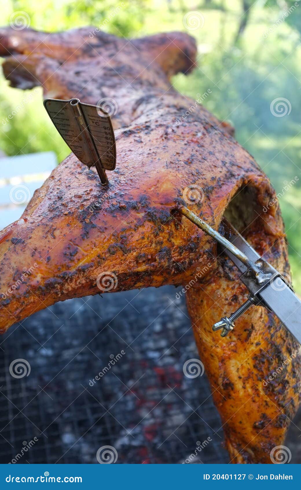 BBQ Whole Lamb stock image. Image of outdoors, hunter - 20401127