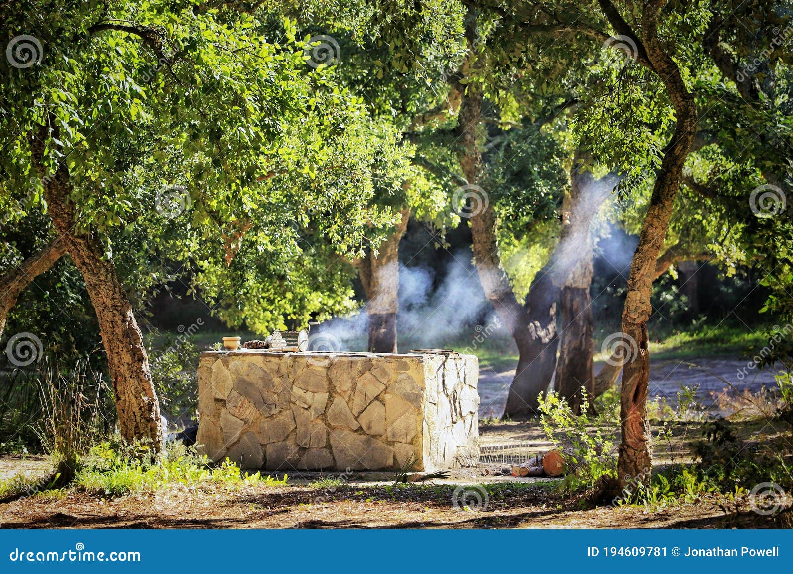 BBQ in the Woods stock image. Image of green, tree, cooking - 194609781