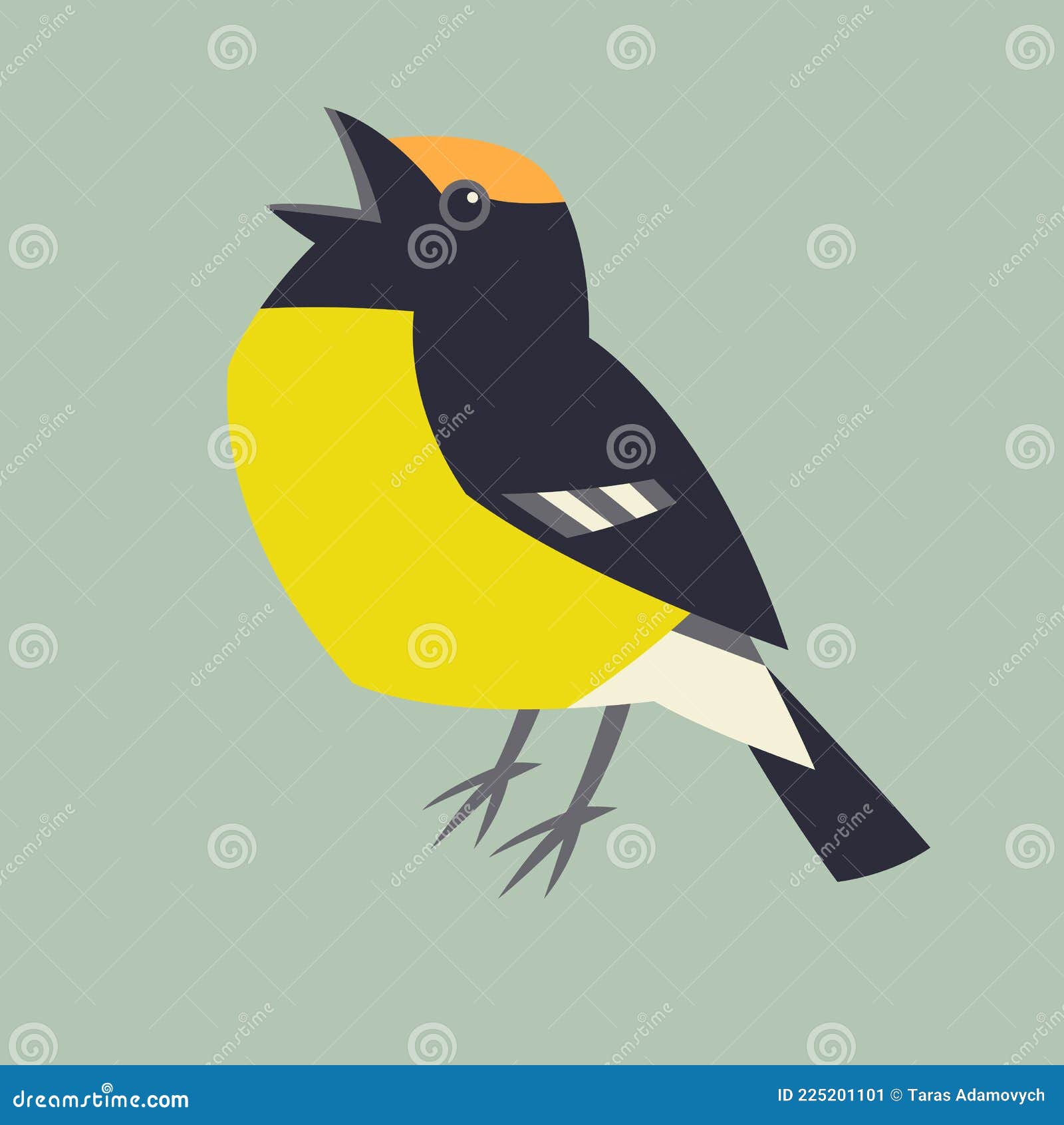 Wagtail Vector Illustration Flat Style Black Silhouette Set ...