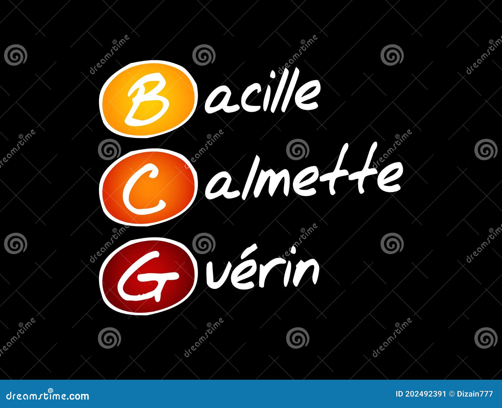 BCG Bacillus Calmette-Guerin - Vaccine Provides Immunity Or Protection ...