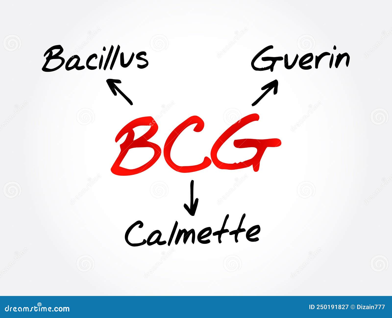 BCG - Bacillus Calmette-Guerin Acronym, Concept Background Royalty-Free ...