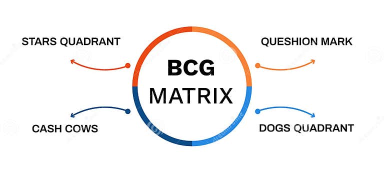 Bcg Matrix Diagram. Development and Product Development Stock Vector ...
