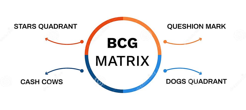 Bcg Matrix Diagram. Development and Product Development Stock Vector ...