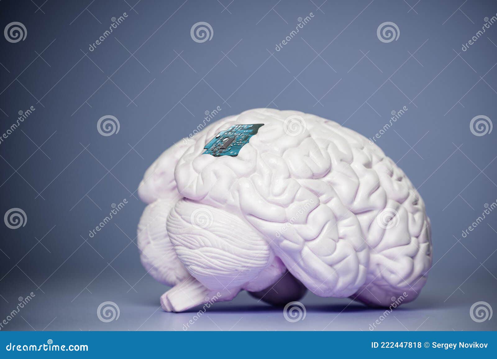 BCI Brain Computer Interface with Chip Embedded Stock Photo - Image of ...