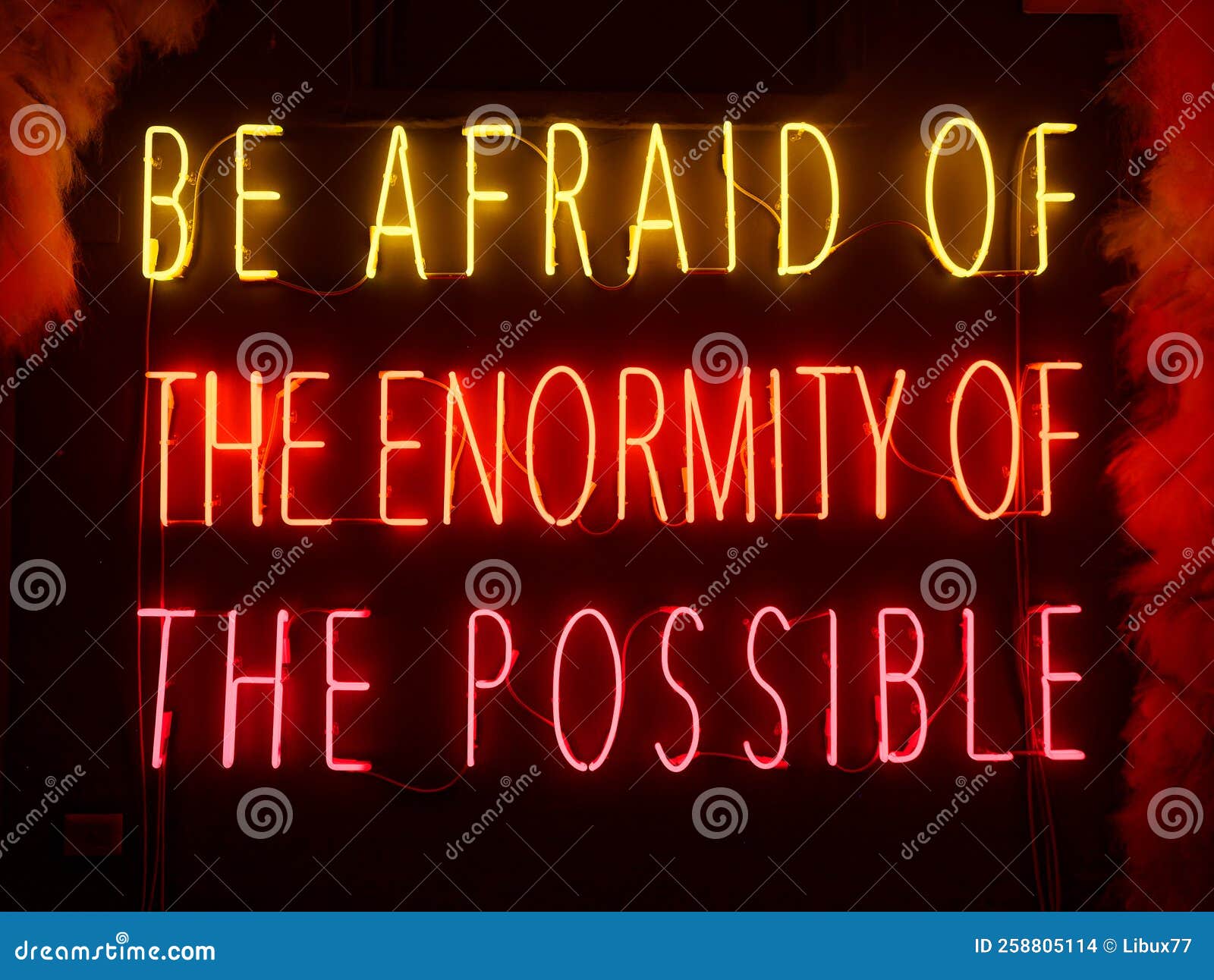 Be Afraid of the Enormity of the Possible Neon Text Written Colored ...