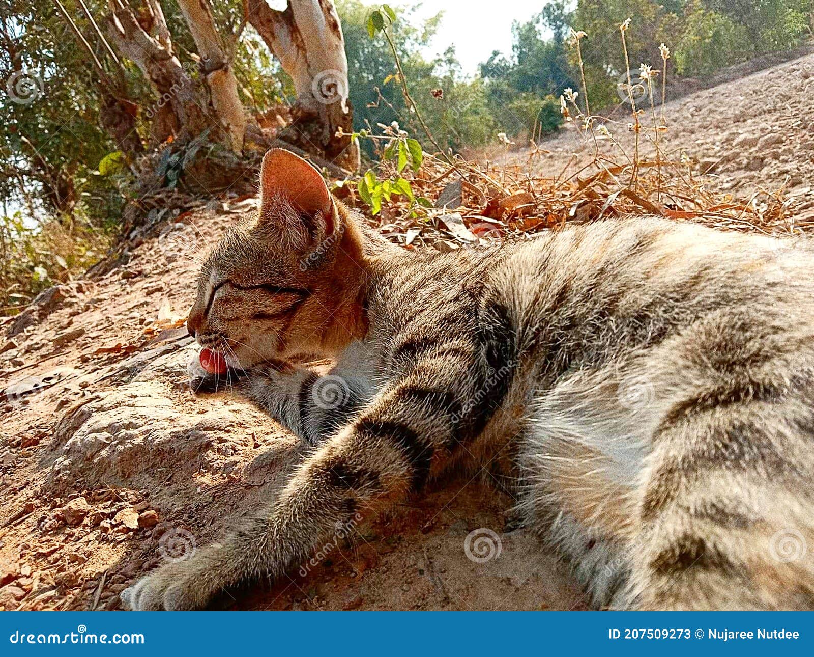 Be Alone for the Time There is No One Left Stock Image - Image of time ...