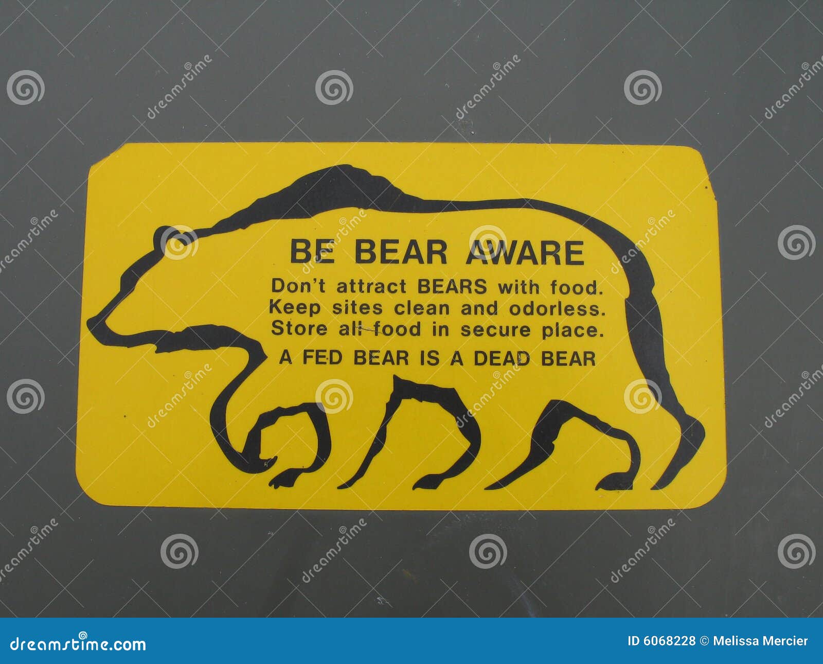 Be aware of bear sign stock photo. Image of view, feed - 6068228