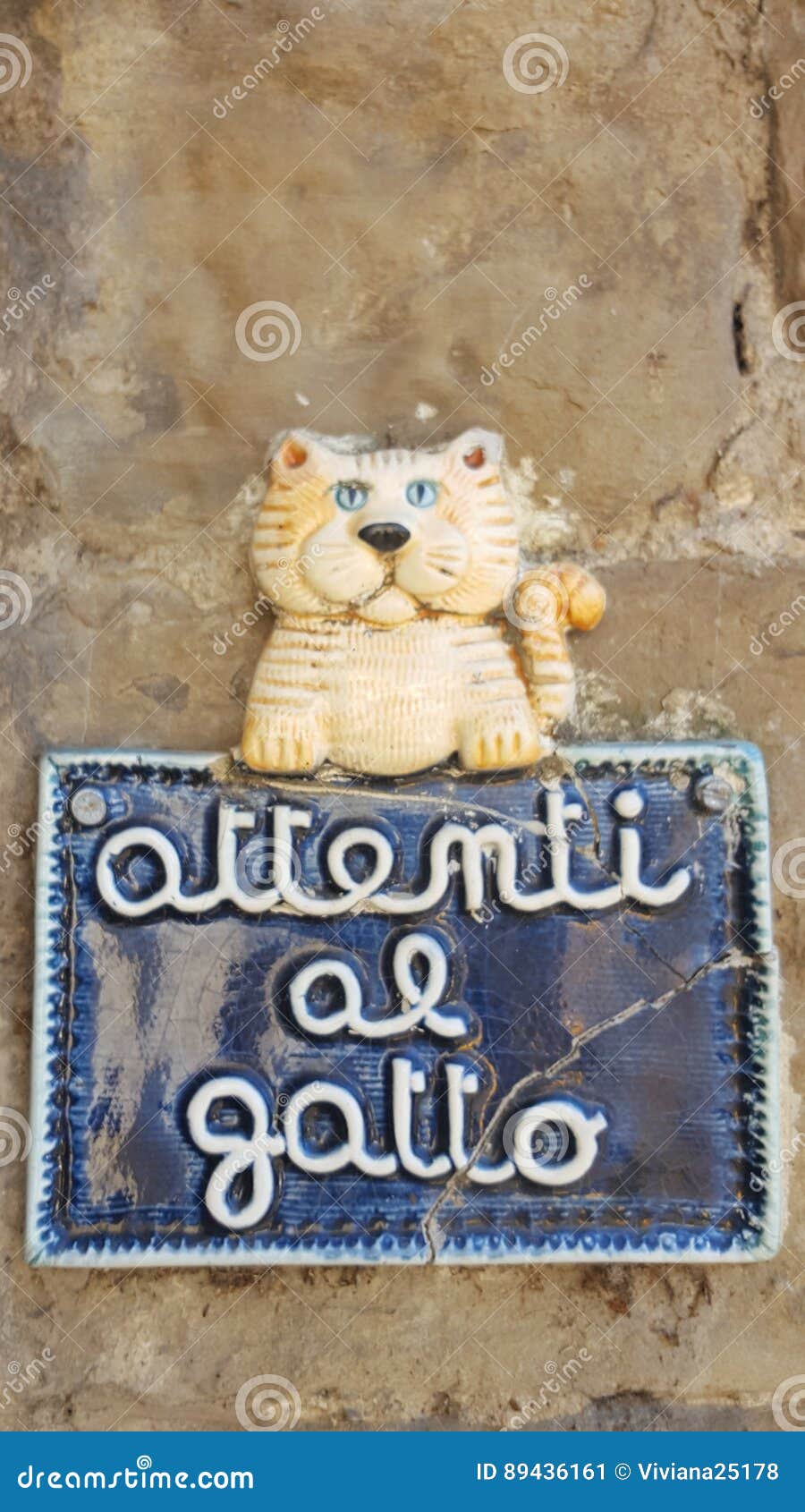 Be aware of the cat stock image. Image of aware, attention - 89436161