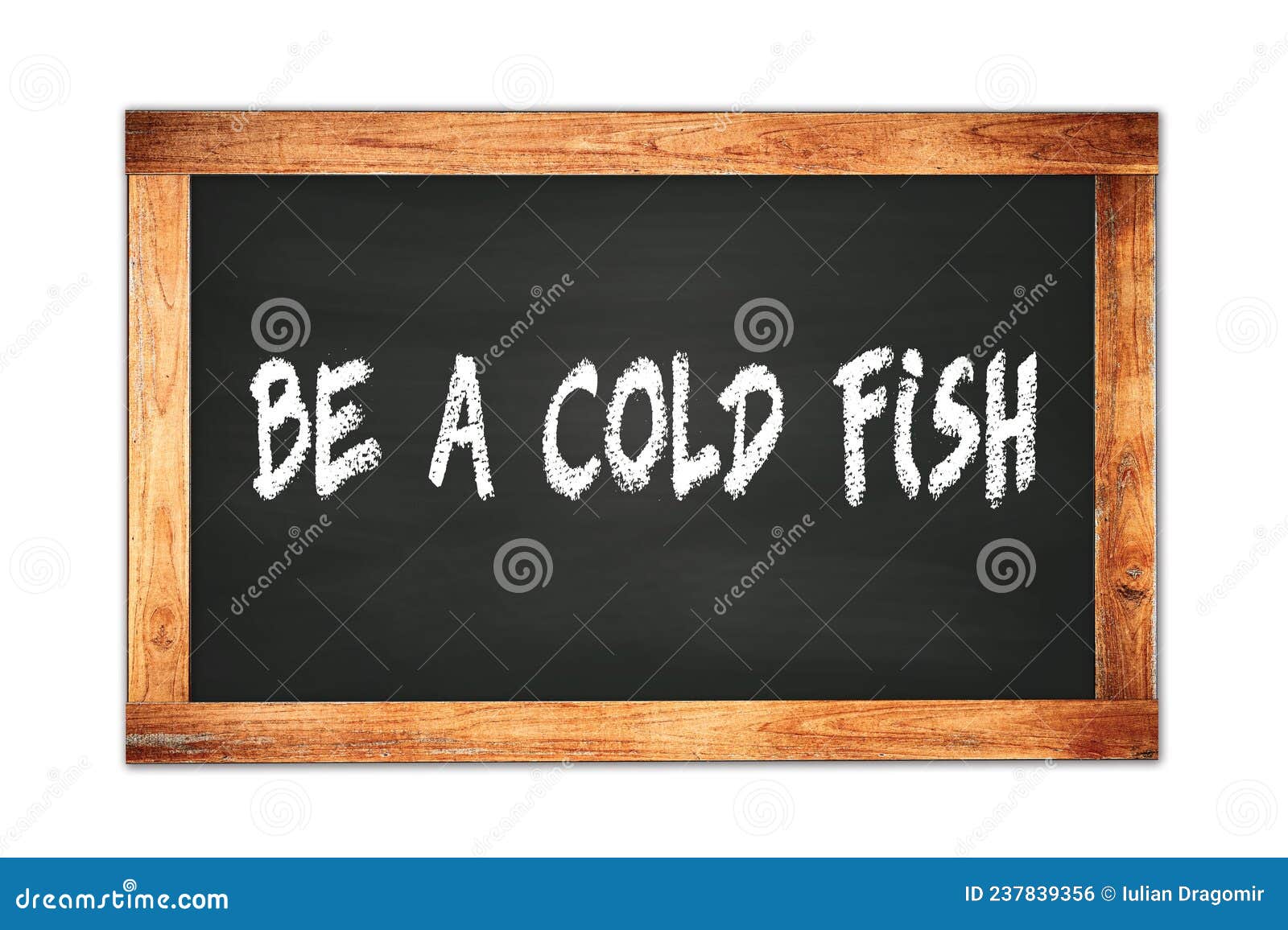 BE a COLD FISH Text Written on Wooden Frame School Blackboard Stock ...