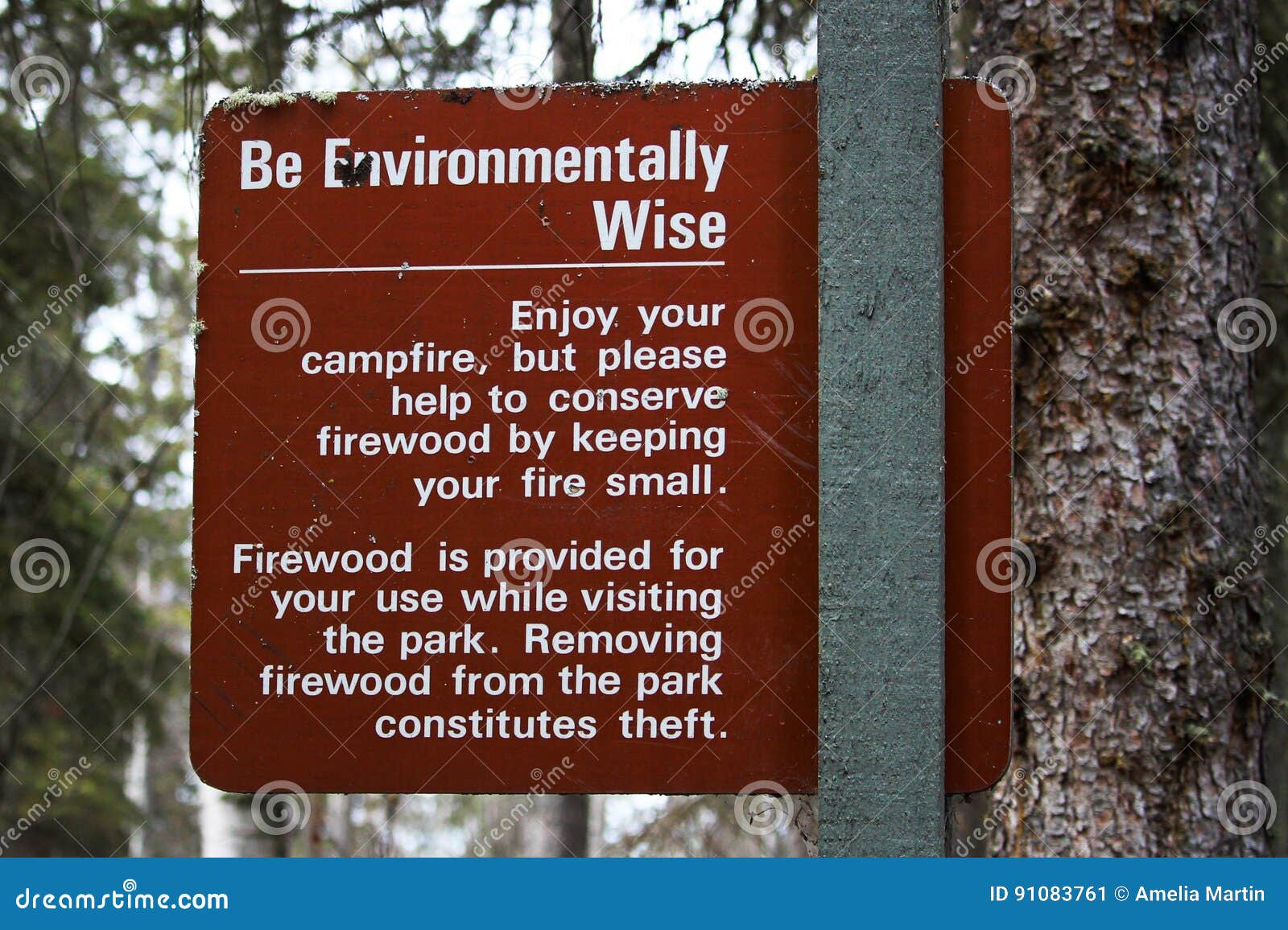 Be Environmentally Wise Sign Asking To Conserve Wood Stock Image ...