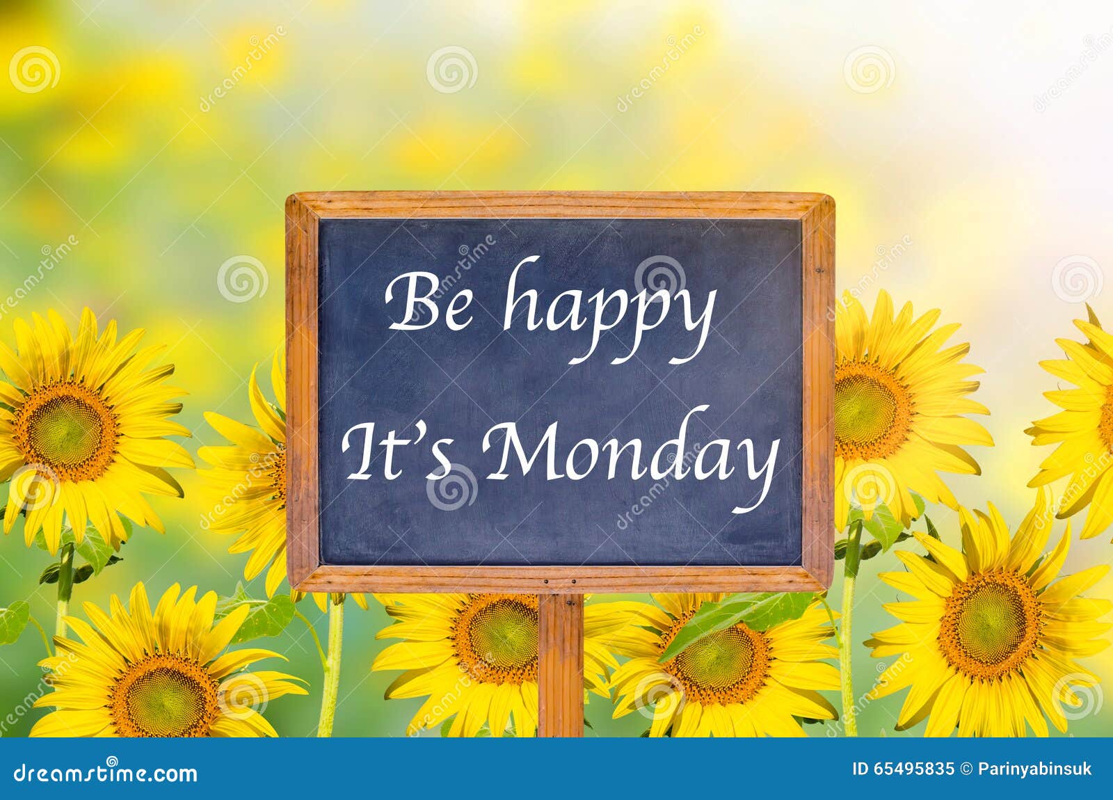 Happy Monday Flowers Images at Georgia Lucas blog