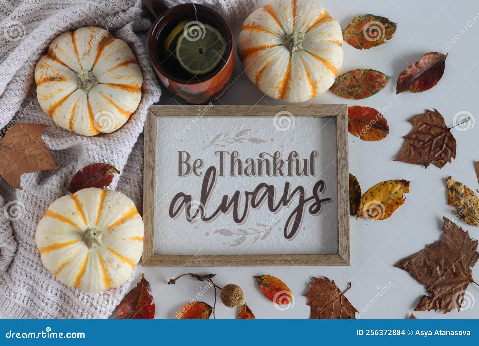 Be Thankful always! stock photo. Image of cozy, high - 256372884