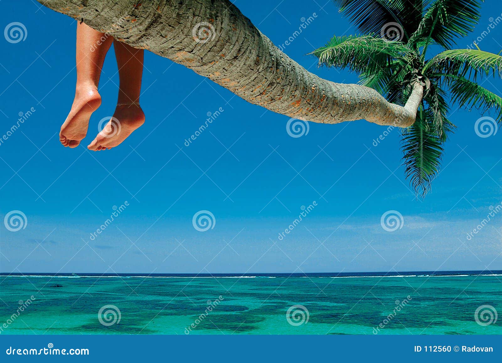 Beach stock photo. Image of seychelles, beach, seascape - 112560