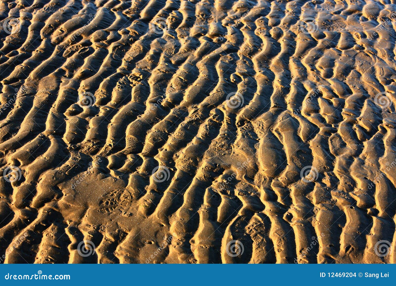 Beach stock photo. Image of texture, soil, beach, holiday - 12469204