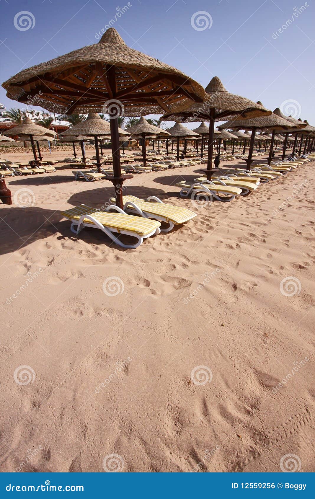 Beach stock photo. Image of egypt, beach, egyptian, resort - 12559256