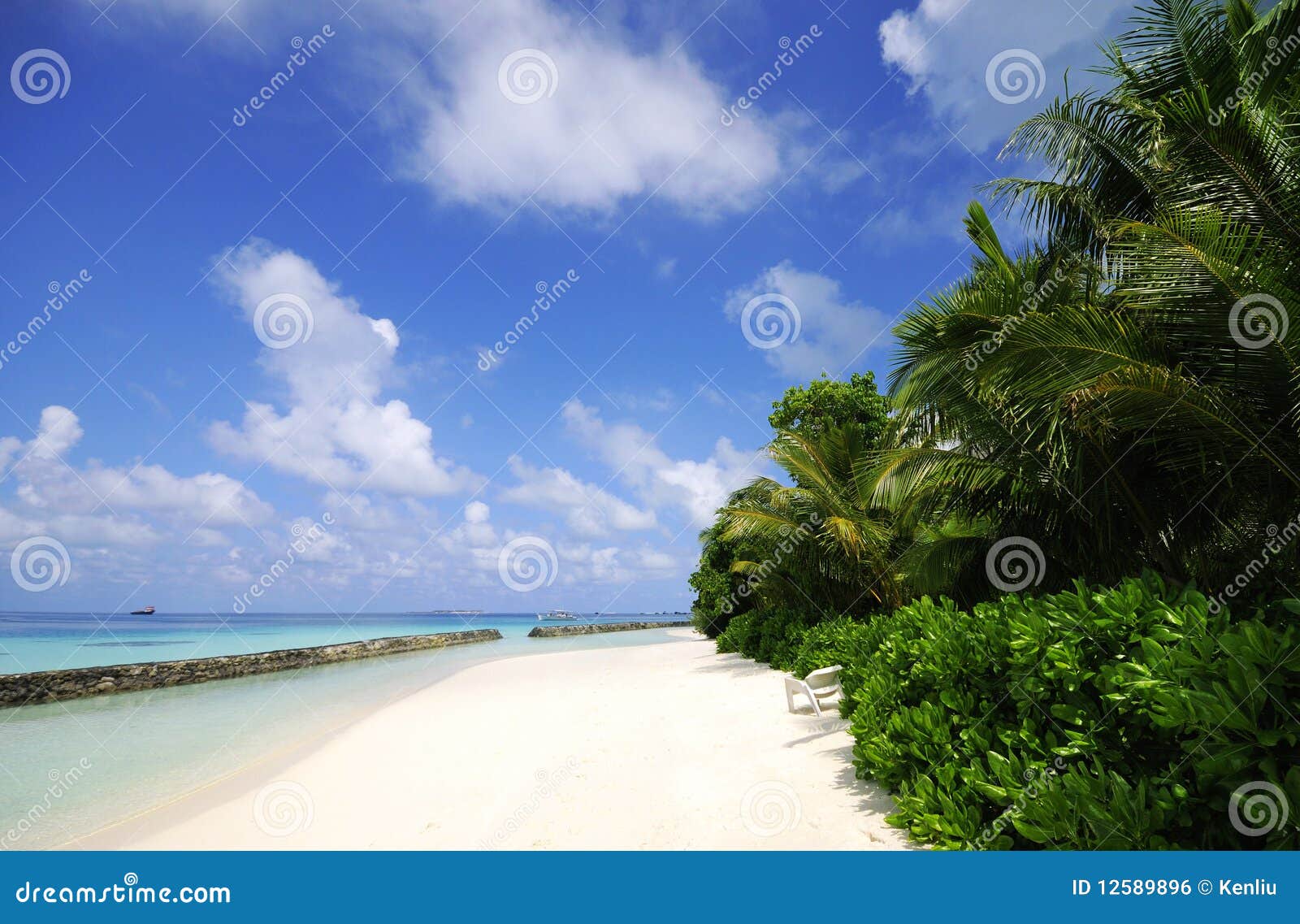 Beach stock photo. Image of maldives, grass, island, climate - 12589896