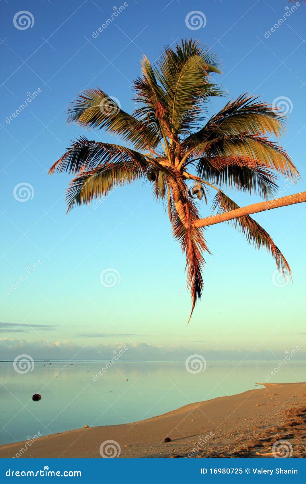Beach stock image. Image of fiji, morning, idyllic, resort - 16980725