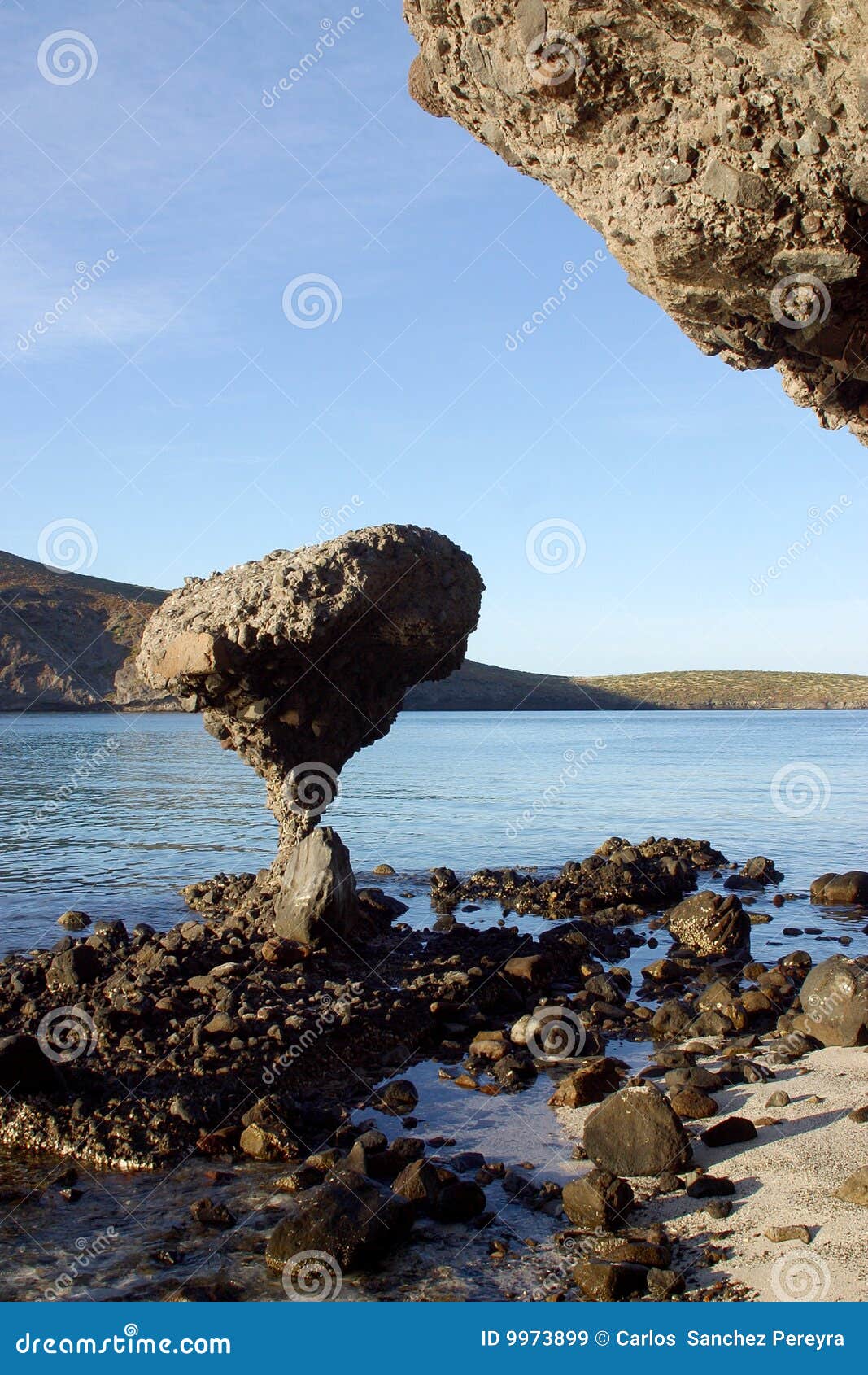 Beach stock image. Image of seaside, place, caribbean - 9973899