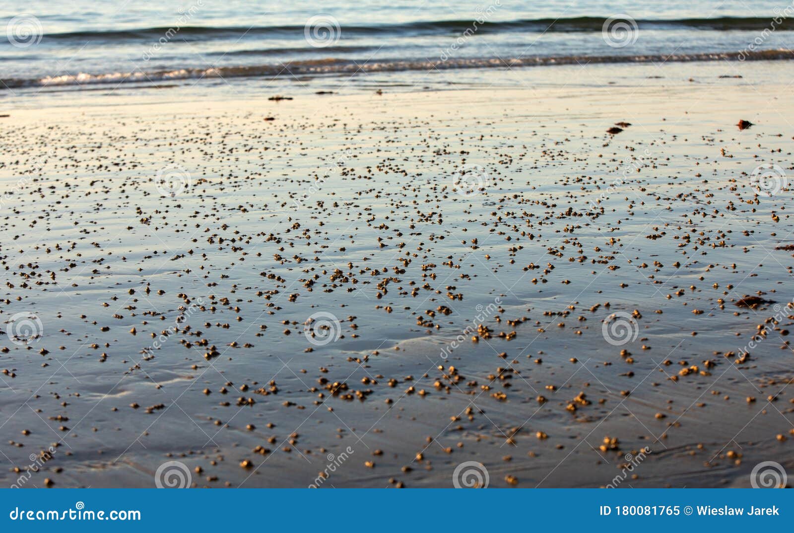 Beach Abstract, Wet Sand Reflecting Sunlight during Sunset. Stock Image ...