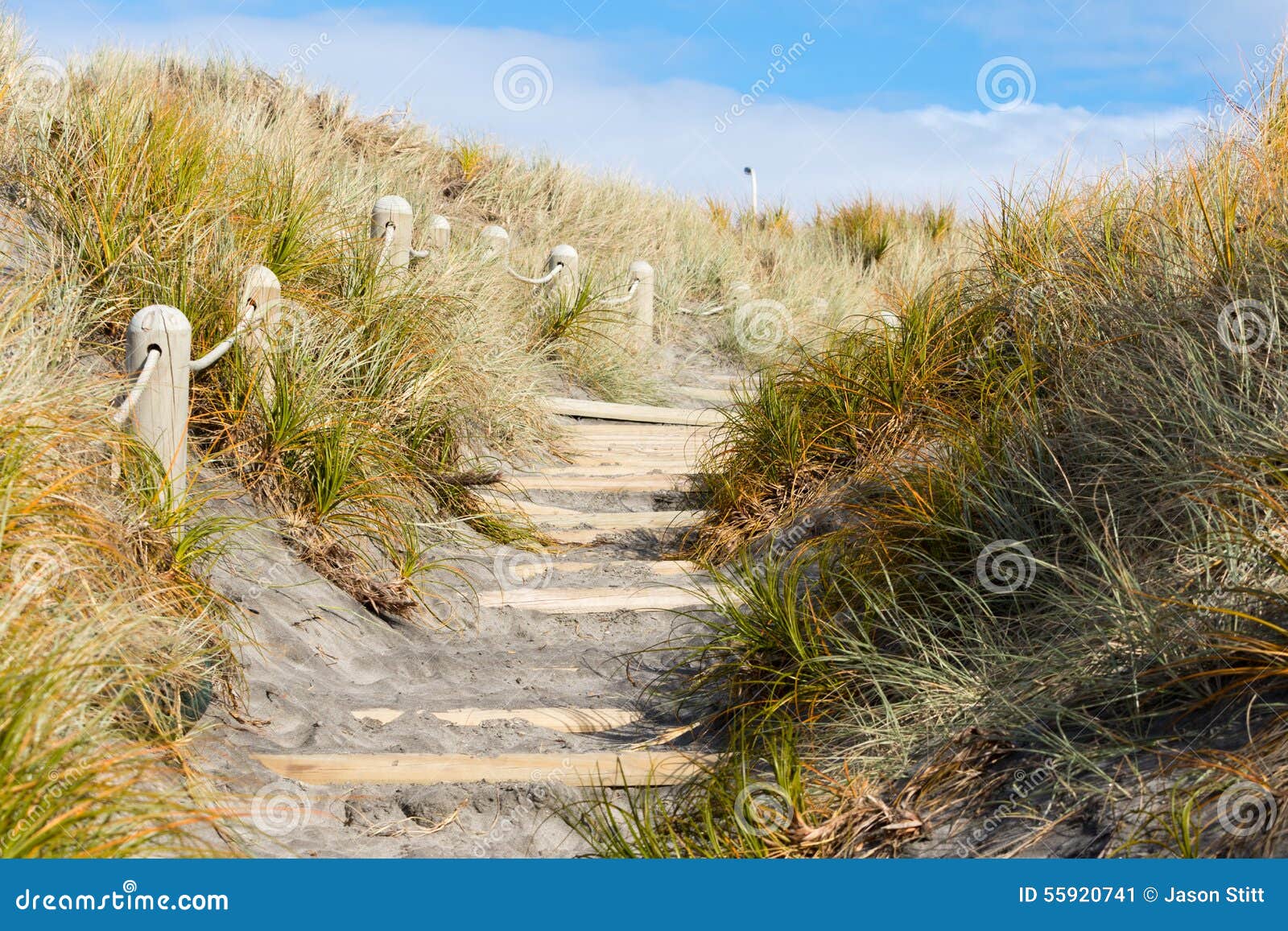 Beach Access Path stock image. Image of logs, poles, yellow - 55920741