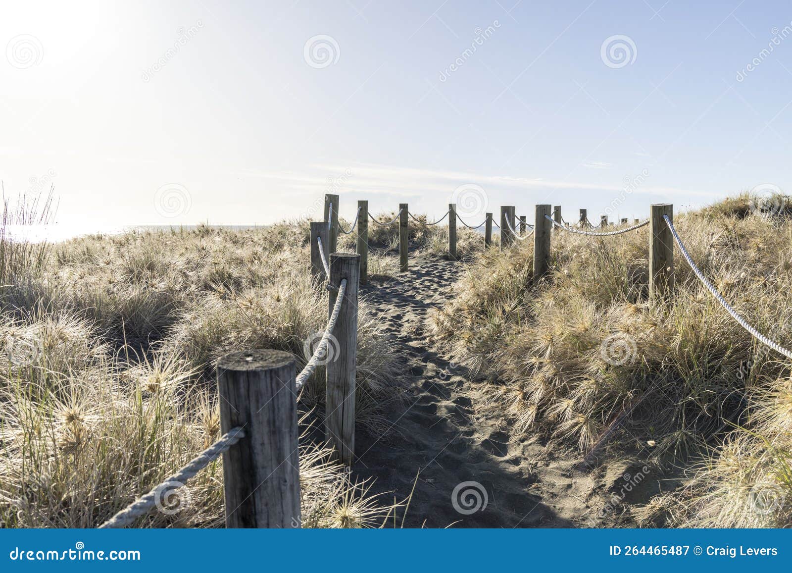 Dune path NZ stock image. Image of dune, walk, leading - 264465487
