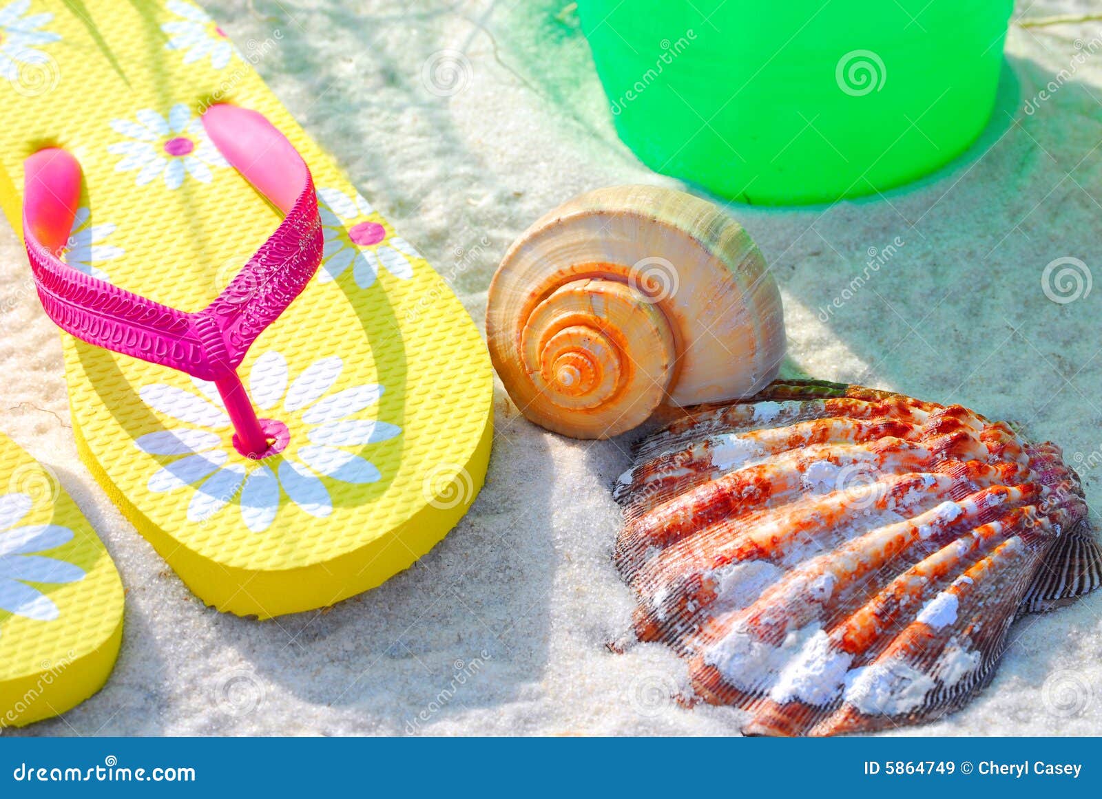 Beach Accessories in Morning Sun Stock Image - Image of conch, sunlight ...