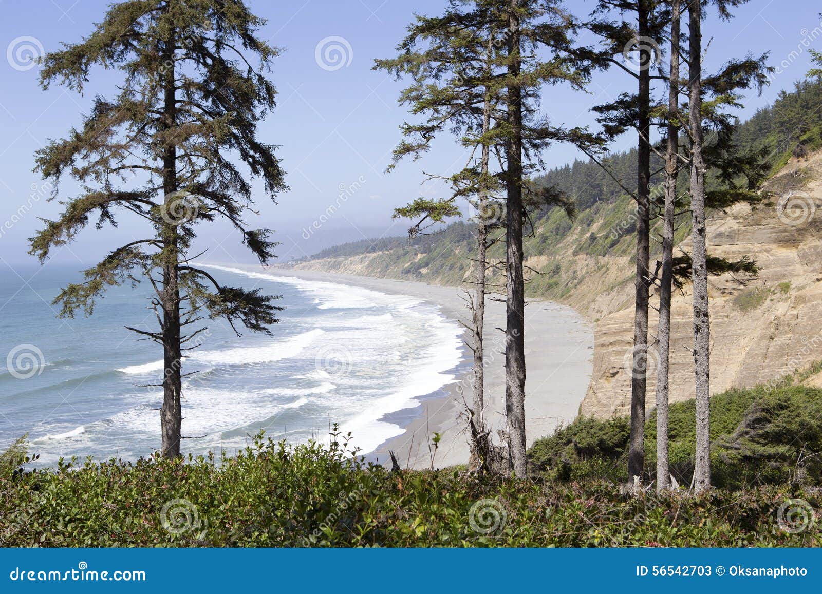 Beach stock image. Image of beach, nature, water, pacific - 56542703