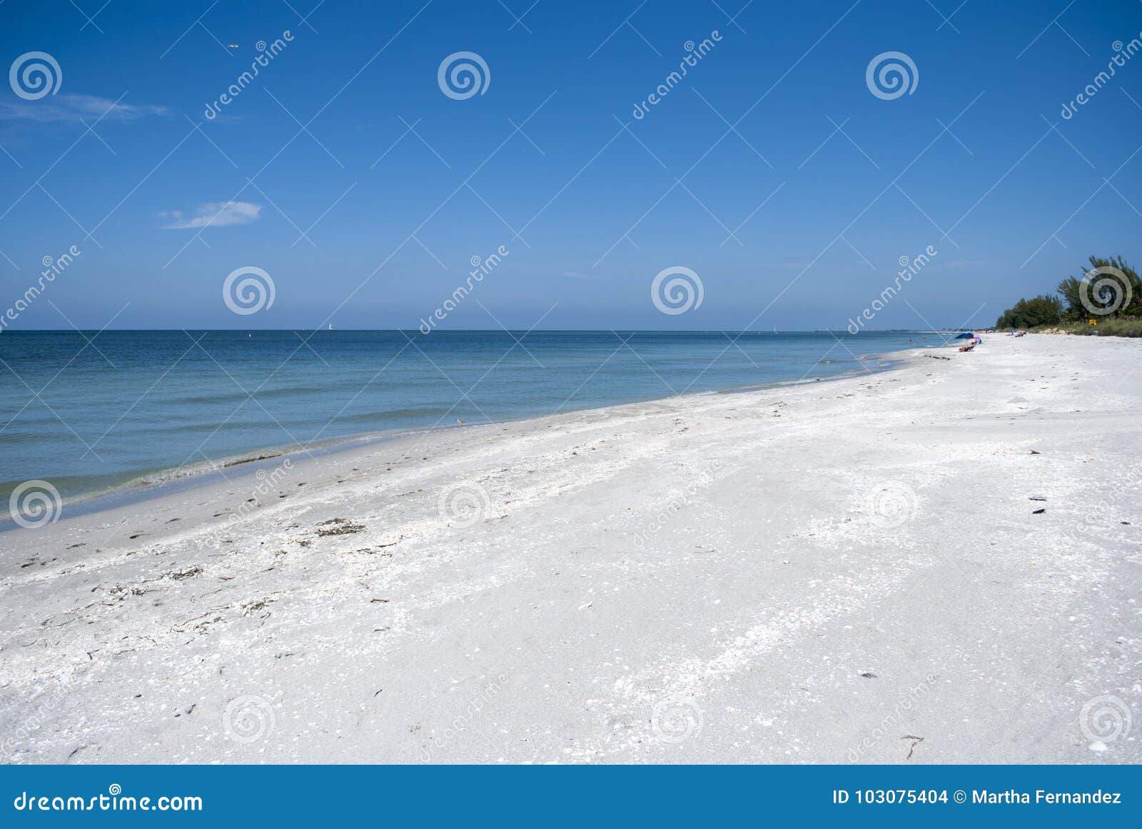 595 Beach Angles Stock Photos - Free & Royalty-Free Stock Photos from ...