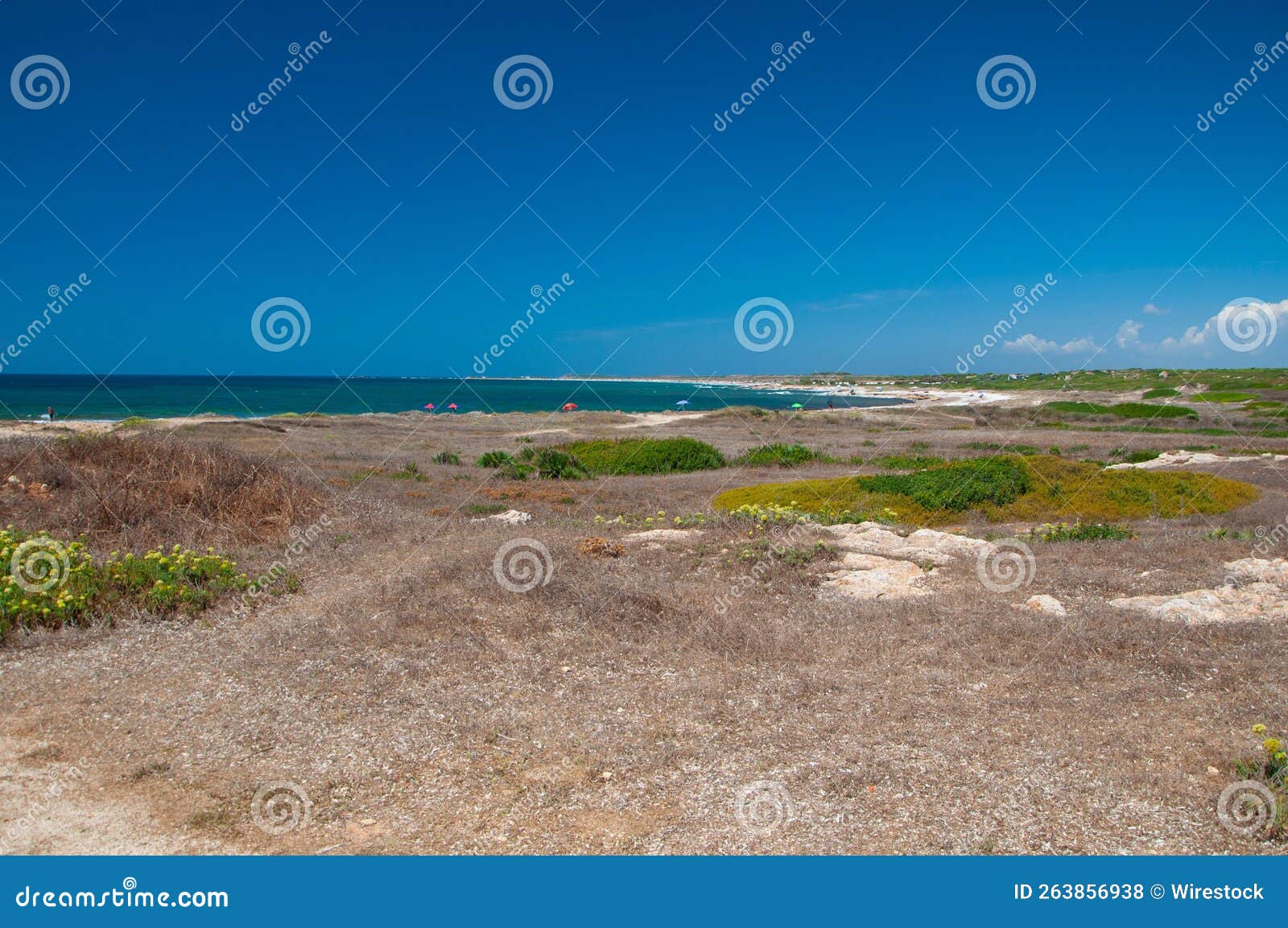 Beach in is Arutas. Sardinia, Italy Stock Photo - Image of paradise ...