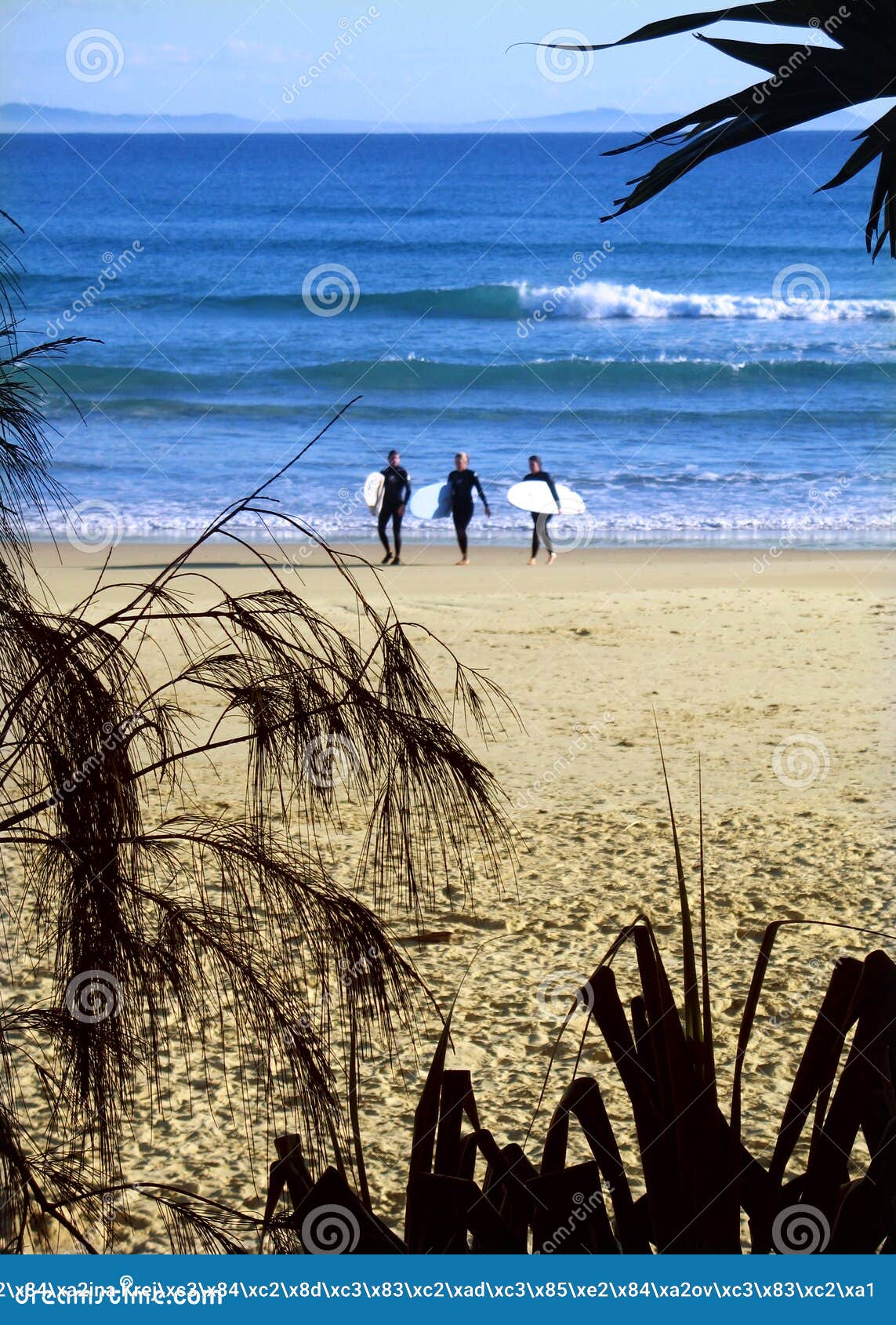 Beach in australia stock photo. Image of surf, walking - 11553122