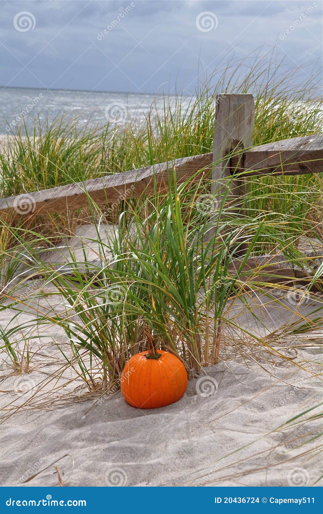 Fall Beach Backgrounds For Desktop