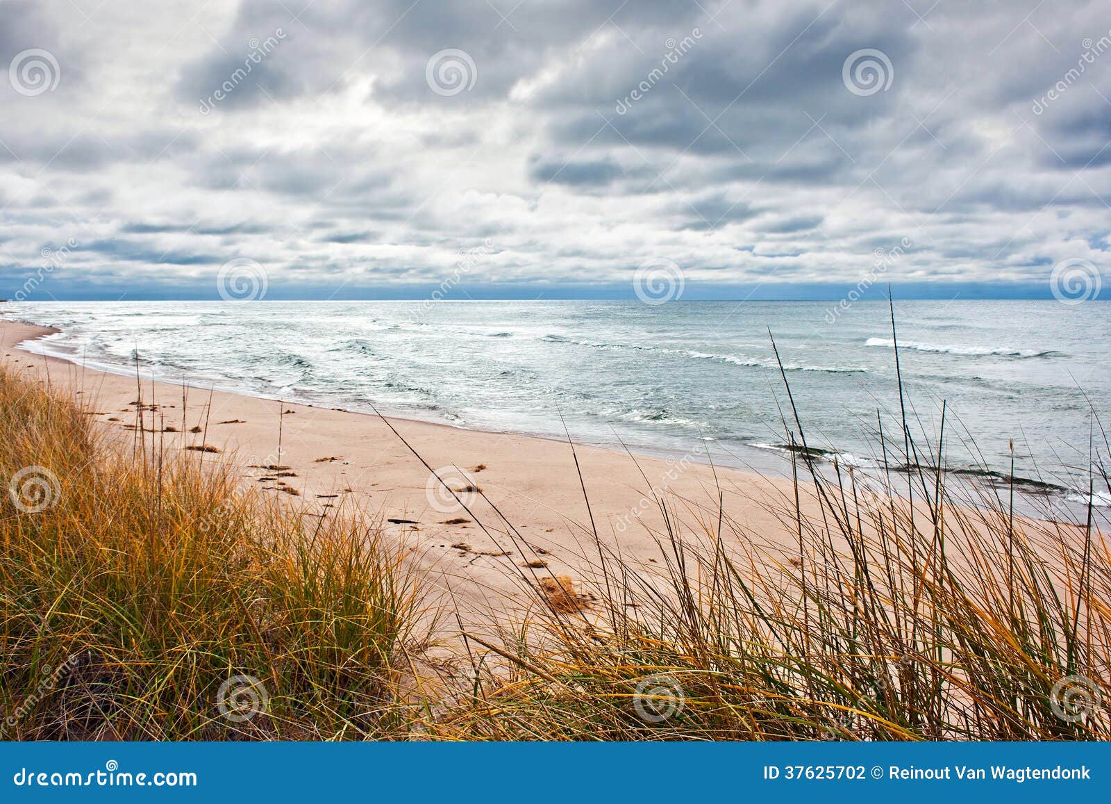 Autumn Colors At The Beach