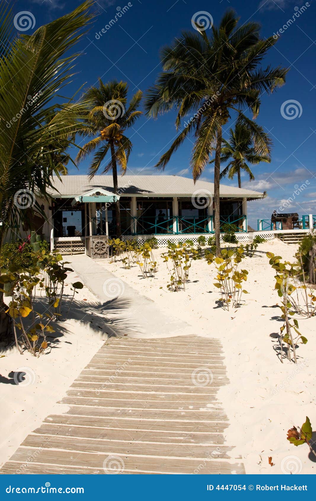 Beach bar stock photo. Image of wooden, path, tropical - 4447054