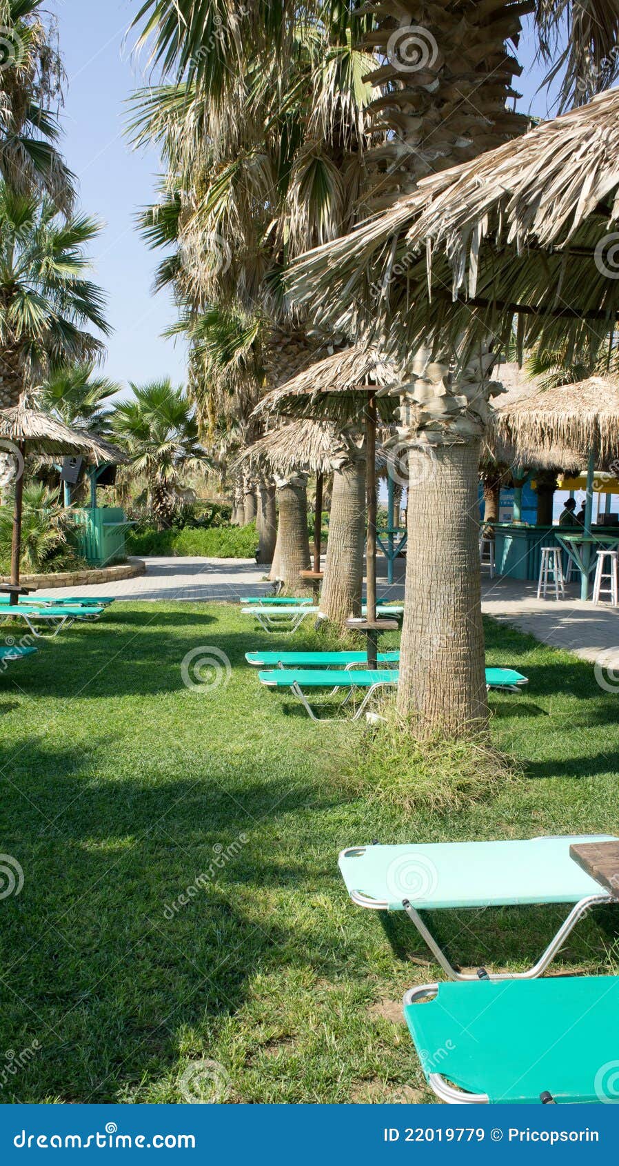 Beach bar with palm tree stock image. Image of blue, resort - 22019779