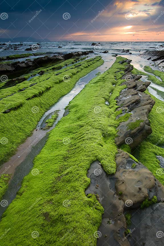 Beach of Barrika stock photo. Image of perspective, natural - 21039588