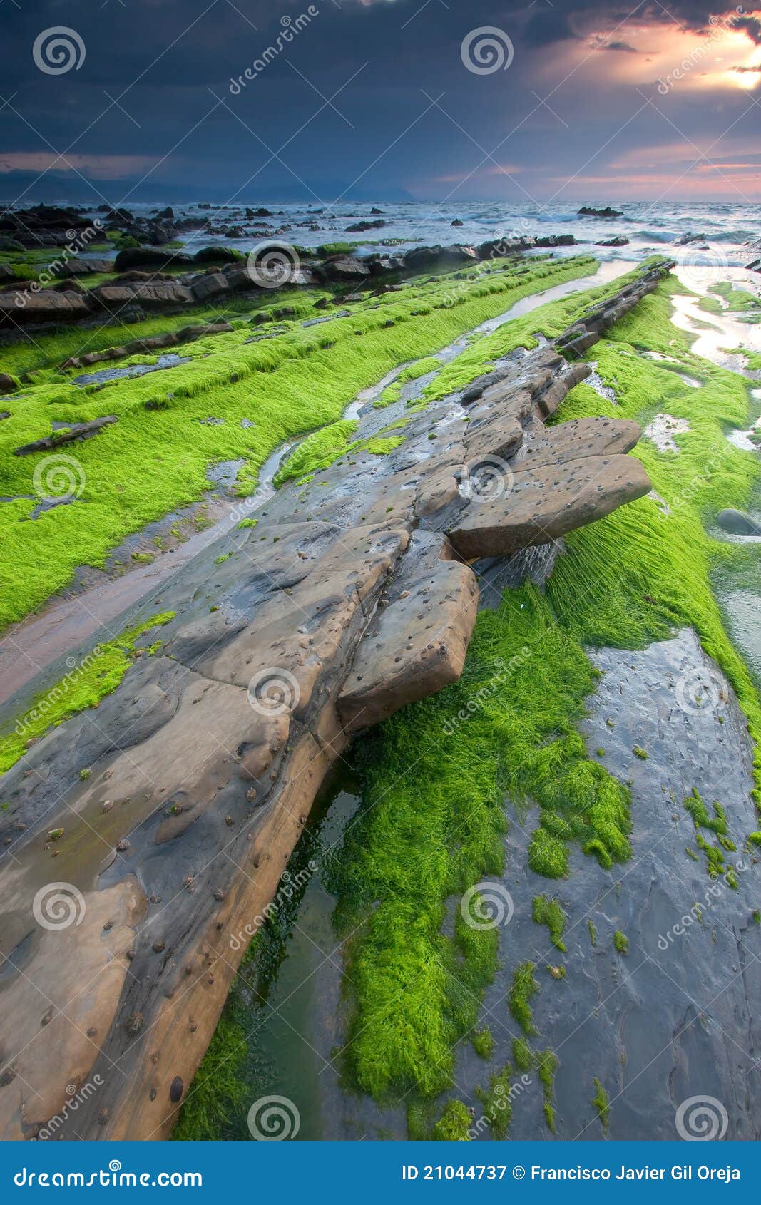 Beach of Barrika stock image. Image of rocks, coastal - 21044737