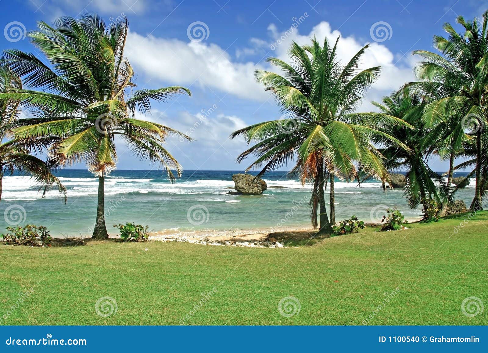 Beach at Bathsheba, Barbados Stock Photo - Image of deserted, isolated ...