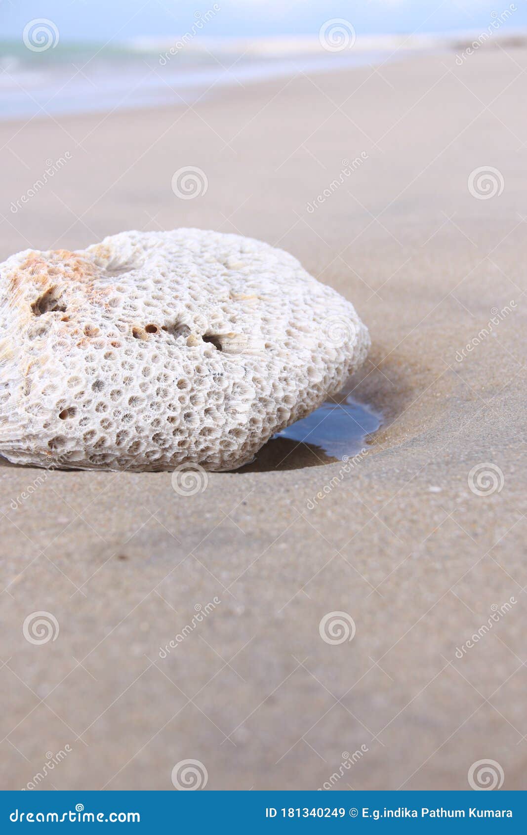 The Beach is Battalangunduwa Lanka Stock Image - Image of bodilima ...