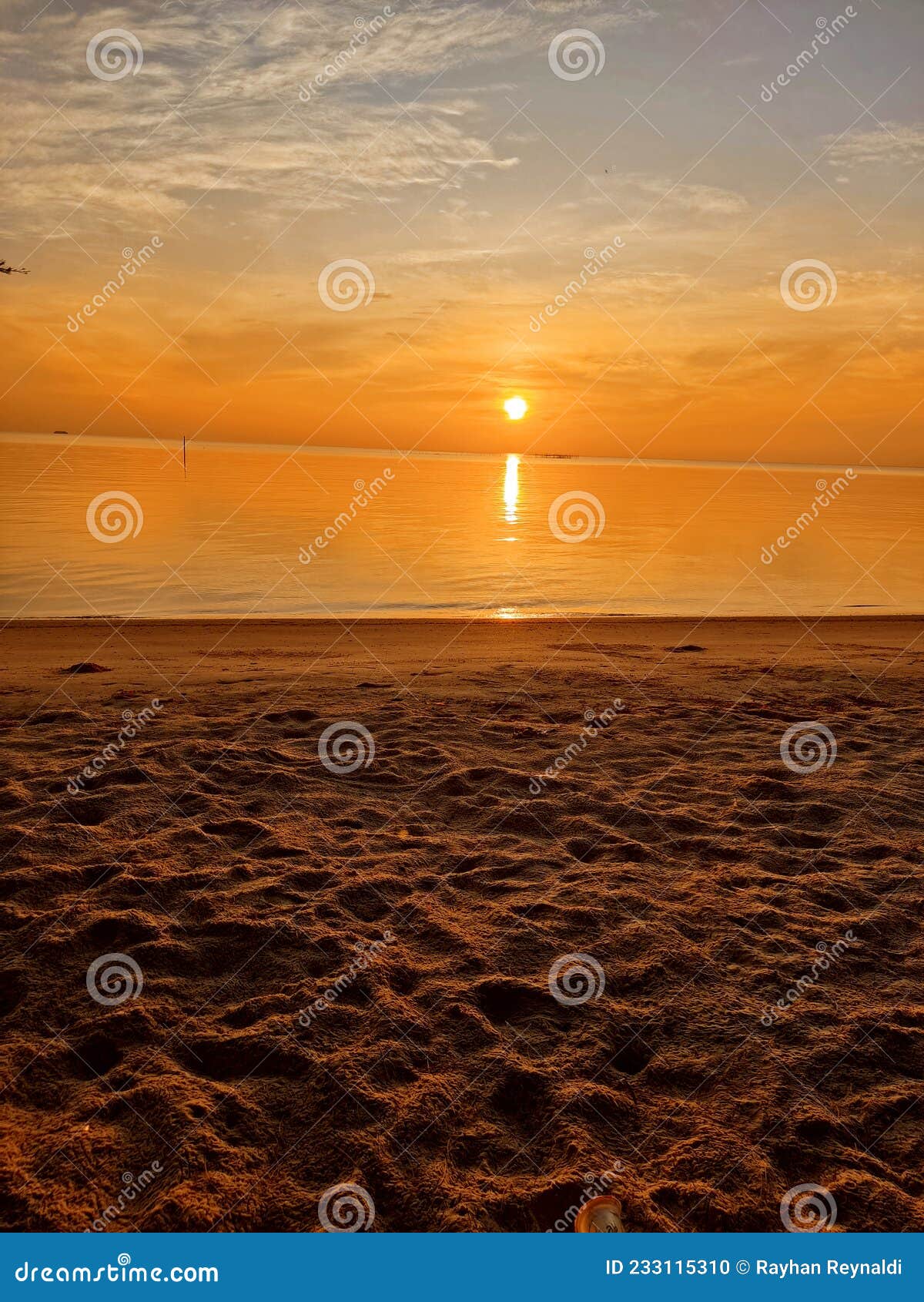 Nice Sunrise View at 05:00 am Stock Photo - Image of tree, wall: 233115310