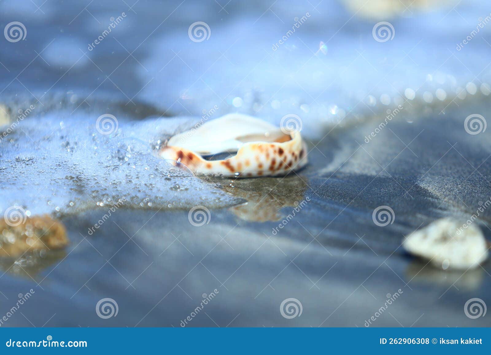 The Beach and and the Beauty of the Shell House Stock Photo - Image of ...