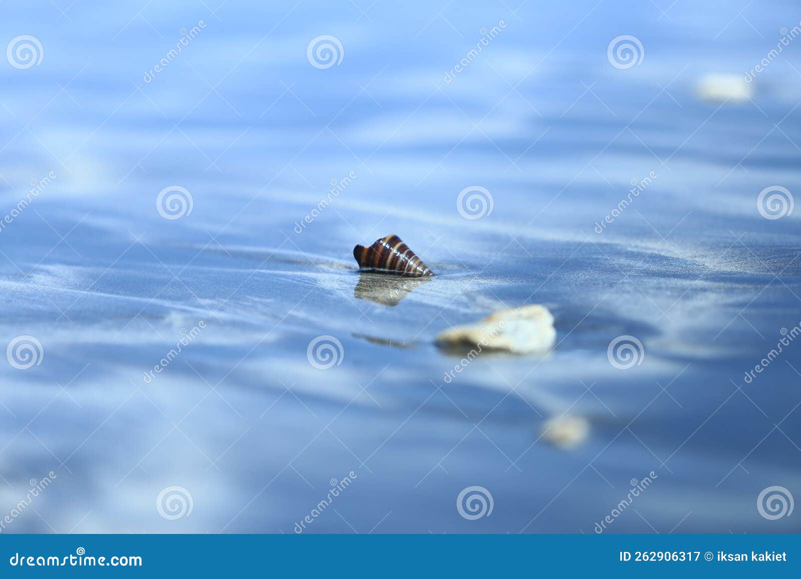 The Beach and and the Beauty of the Shell House Stock Image - Image of ...