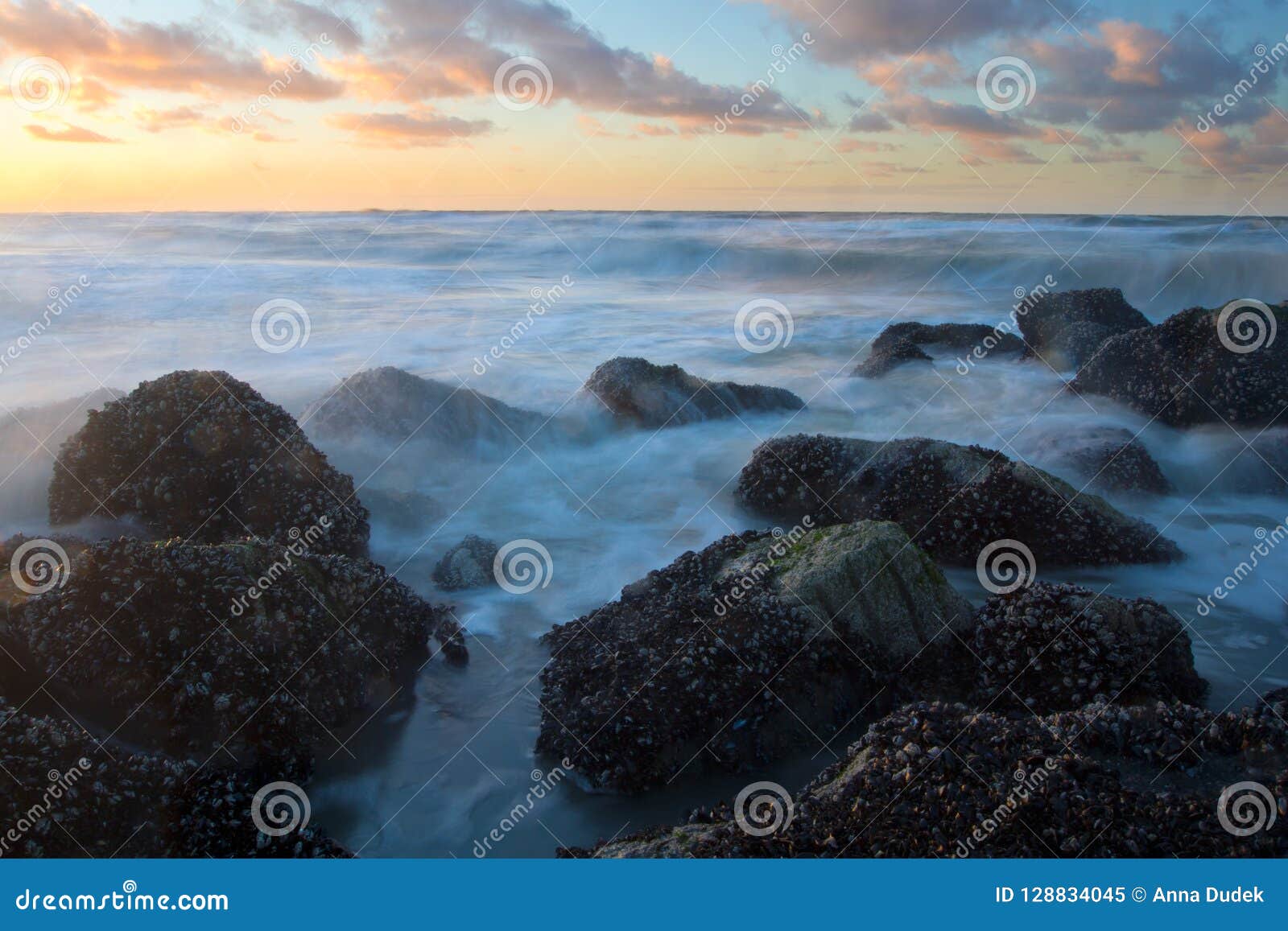 Beach in Belgium stock image. Image of waterfront, cloudscape - 128834045