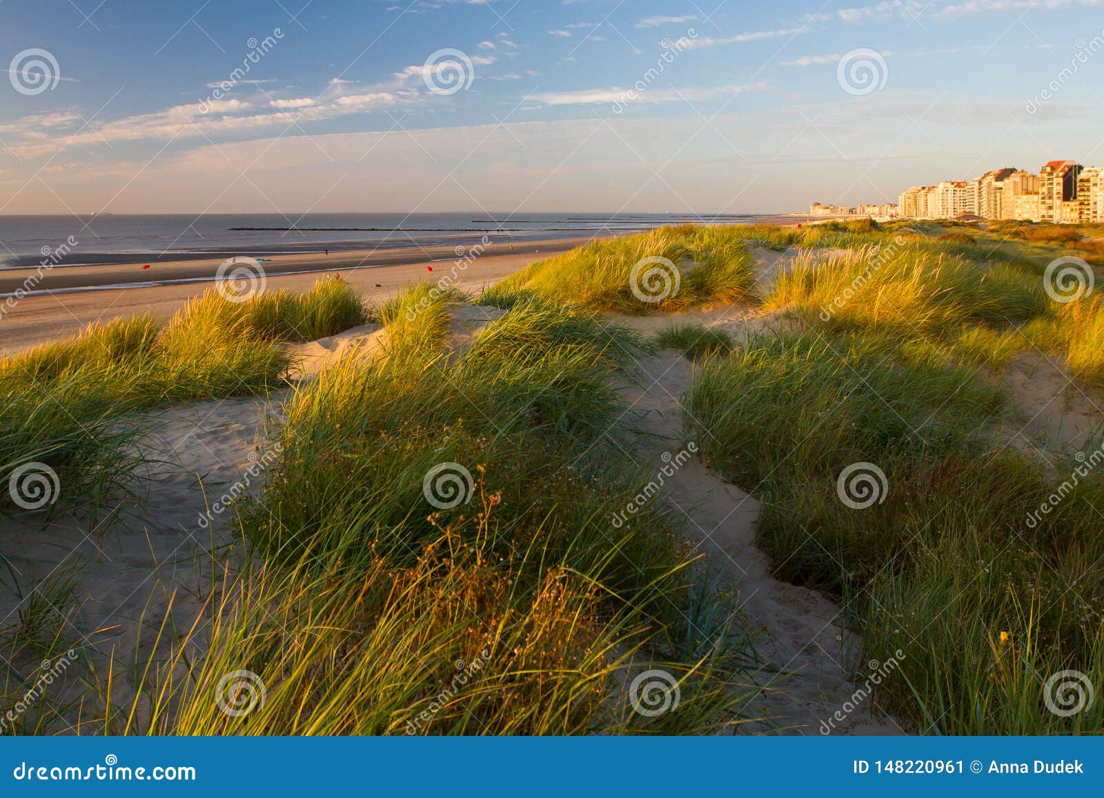 Beach in Belgium stock image. Image of blue, horizon - 148220961