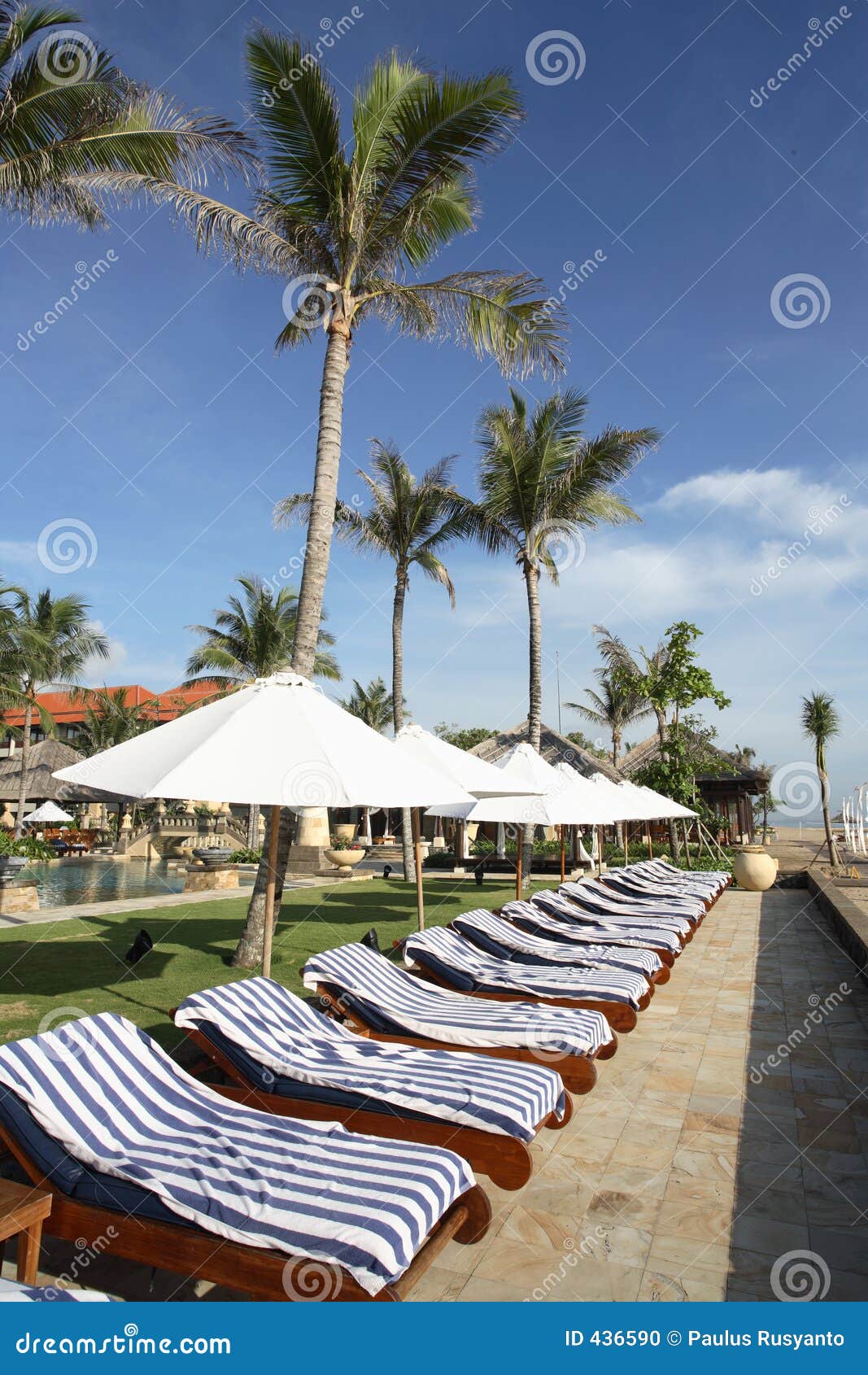 Beach Benches stock photo. Image of enjoy, hotel, destination - 436590