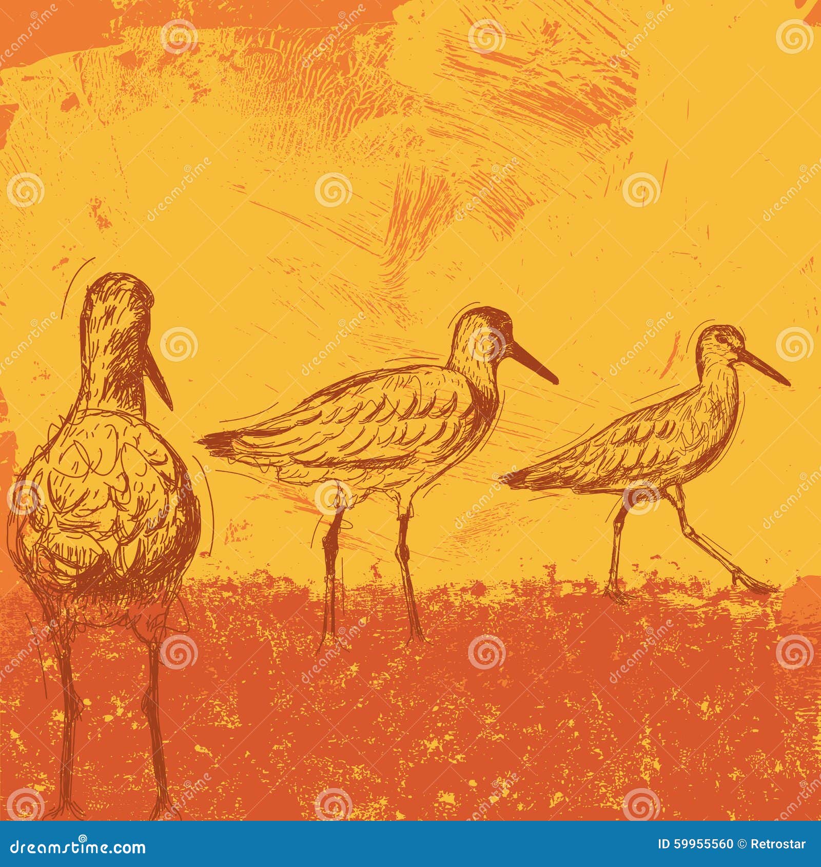 Beach birds at sunset stock vector. Illustration of vector - 59955560