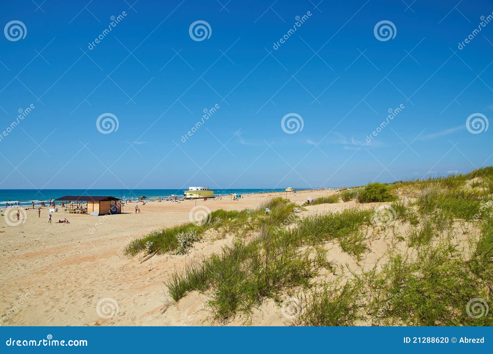 Black Sea Beach Russia